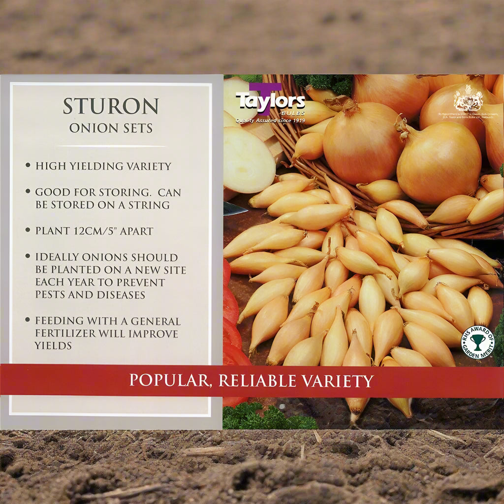 Taylors Bulbs - 50 Sturon - Onion Set – O'Tooles Tools